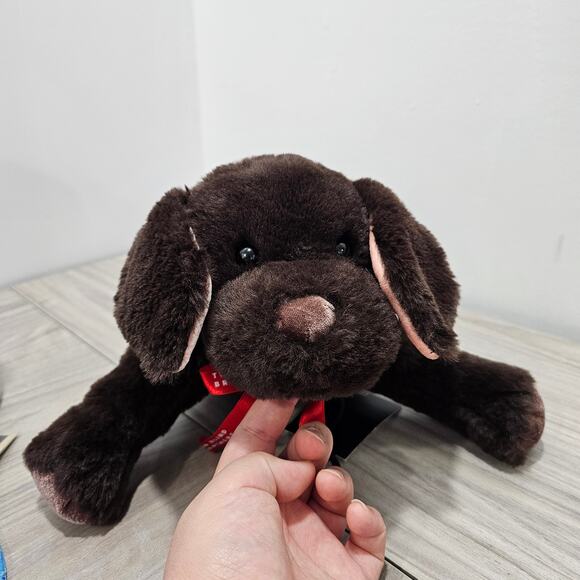 Two Blind Brothers | Toys | Two Blind Brothers Braille Plush Puppy Dog ...